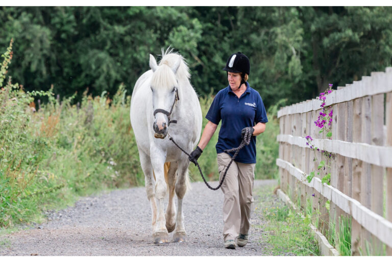 RDA Learning – Online training courses for Riding For The Disabled