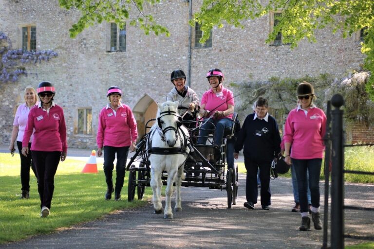 RDA Learning – Online training courses for Riding For The Disabled