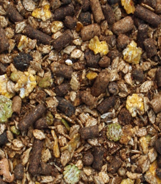 Different types of food a horse/pony may eat – RDA Learning